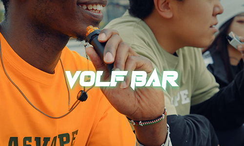 Volf Bar Wholesale E-cigarettes | China disposable vape brand ...